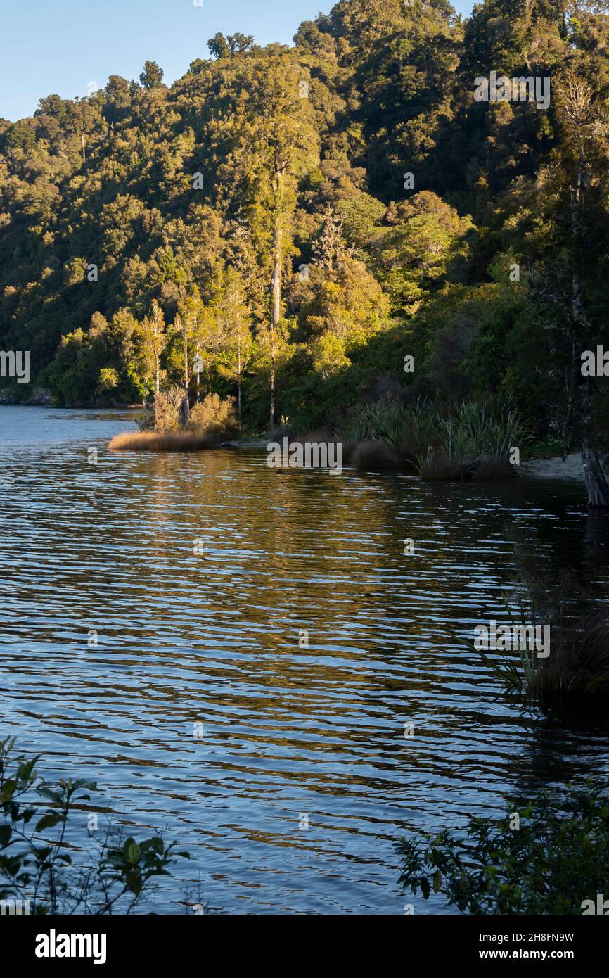 Lake Brunner, South Island, New Zealand Stock Photo - Alamy