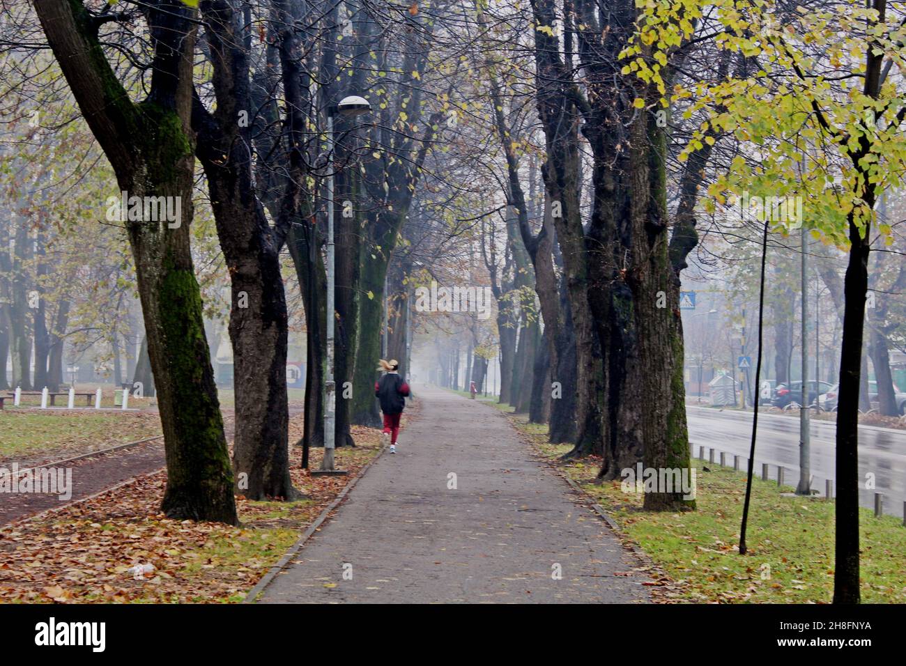 The cold fall in the park outdoor with a lonely runner Stock Photo - Alamy