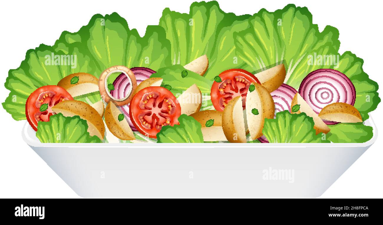 Healthy meal with fresh vegetable salad bowl illustration Stock Vector ...