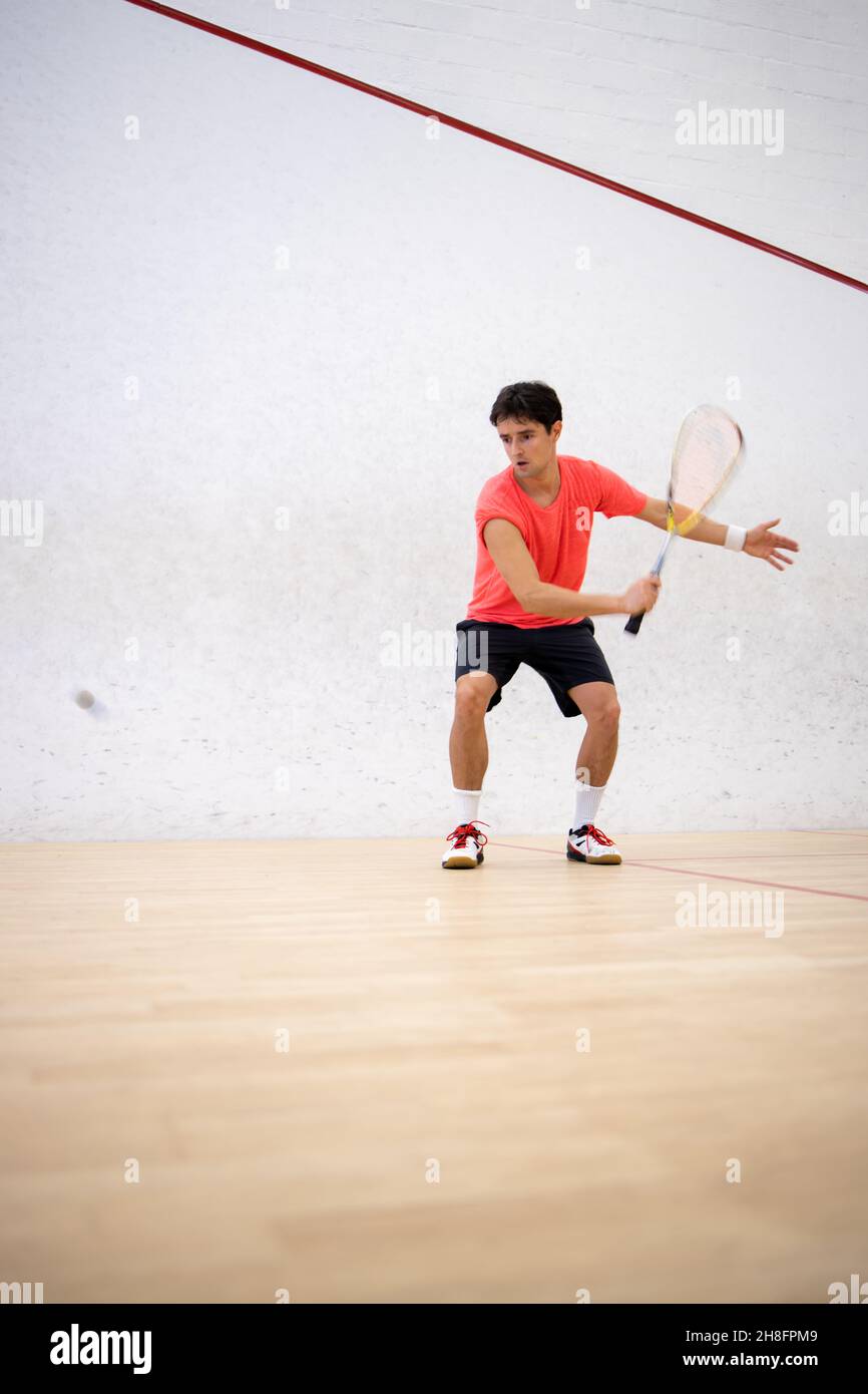 Squash player in action on a squash court (motion blurred image; color ...