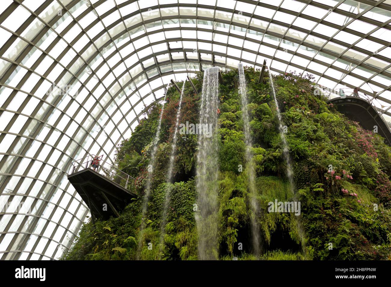 Singapore indoor forest hi-res stock photography and images - Alamy