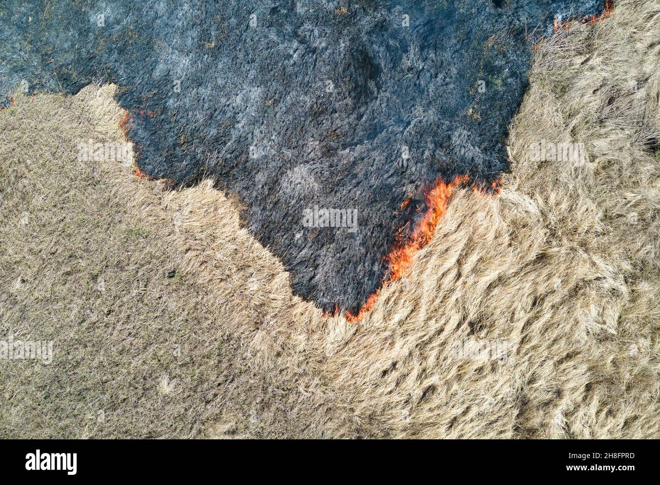 Aerial view of grassland field burning with red fire during dry season ...