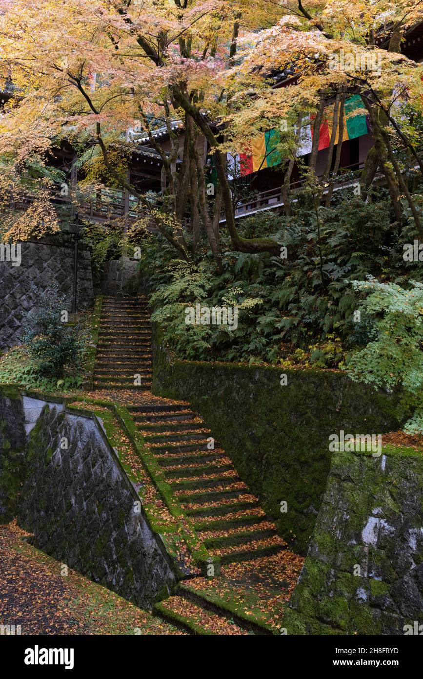 Kyoto, Japan. 27th Nov, 2021. Stone stairs covered with fallen autumn ...