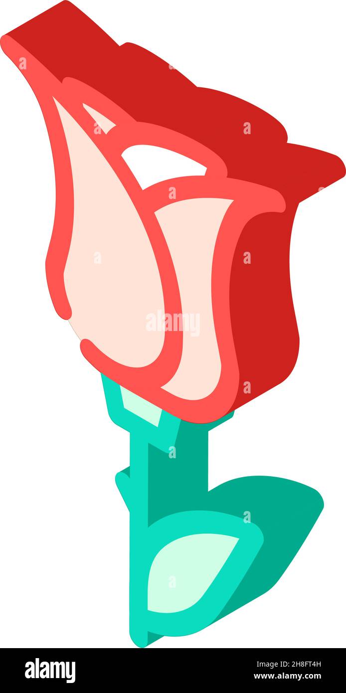 rose aromatic flower isometric icon vector illustration Stock Vector ...