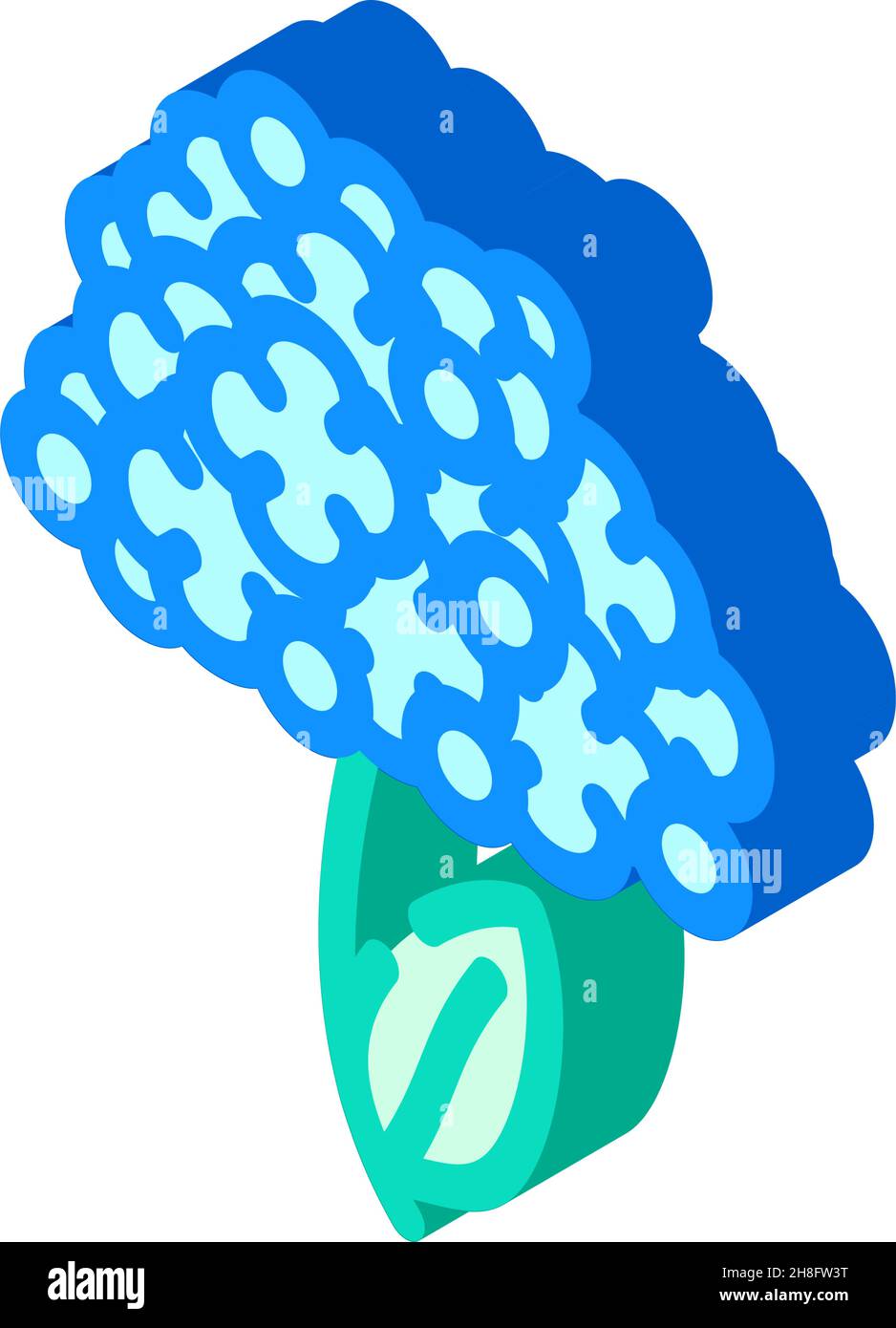 hydrangea flower isometric icon vector illustration Stock Vector Image ...