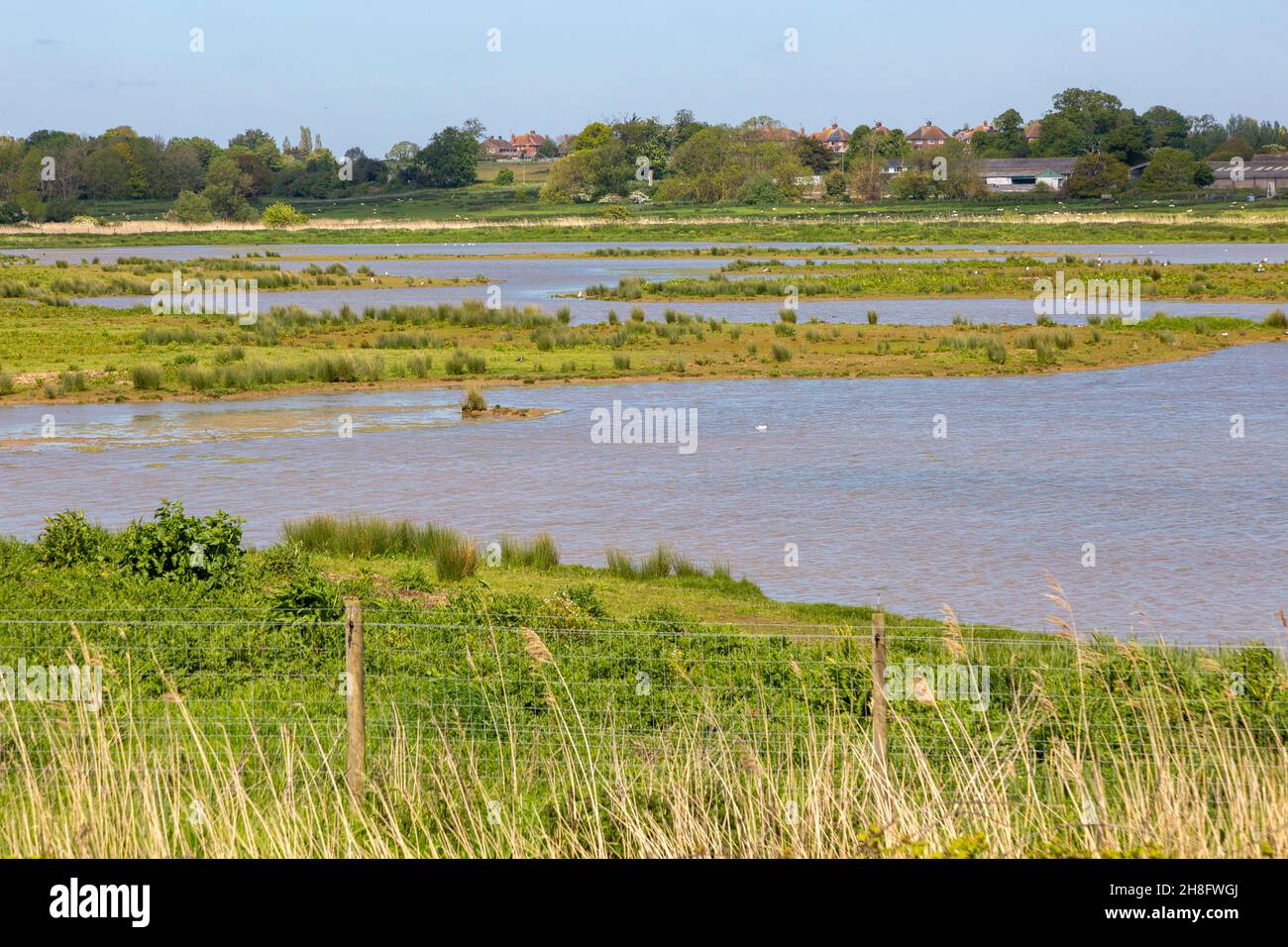 Wetland habitat grassland scrape for birds at RSPB Hollesley Marshes ...