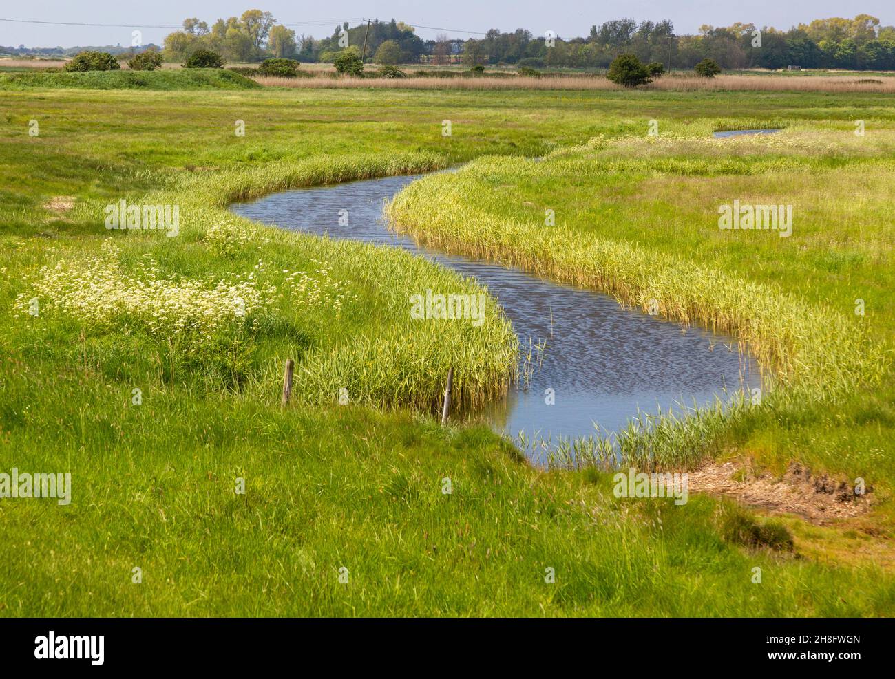 Meander shape drainage channel stream drained marshland, Hollesley ...