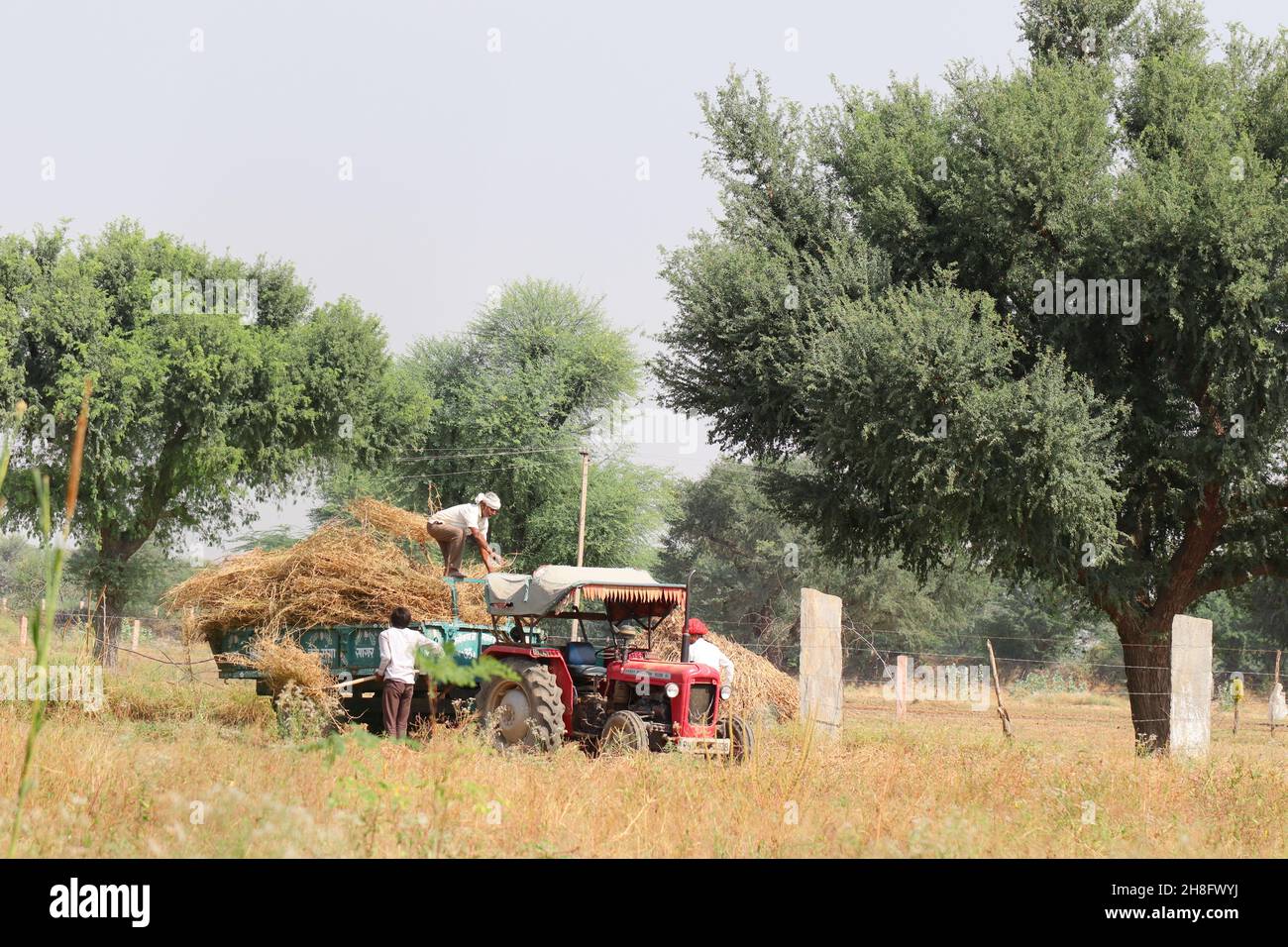 Indian labor hi-res stock photography and images - Alamy