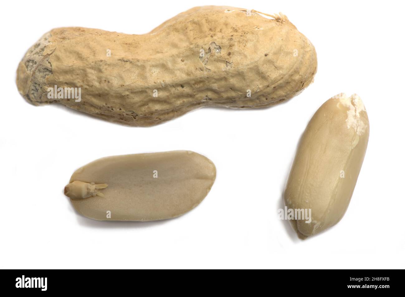 Close up of shelled peanuts next to half of shell on white background ...