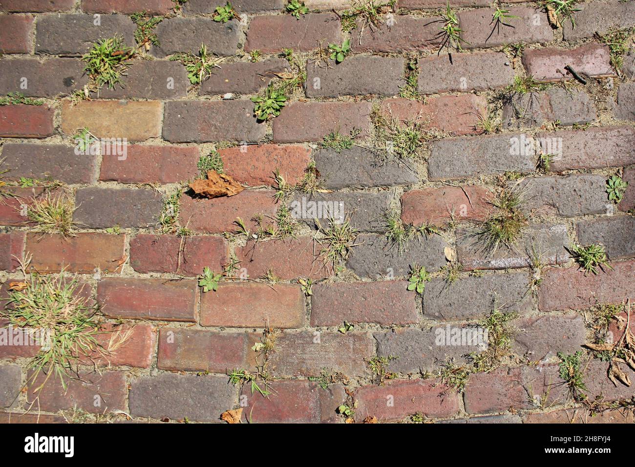 Beautiful vintage brick path leading the way Stock Photo - Alamy