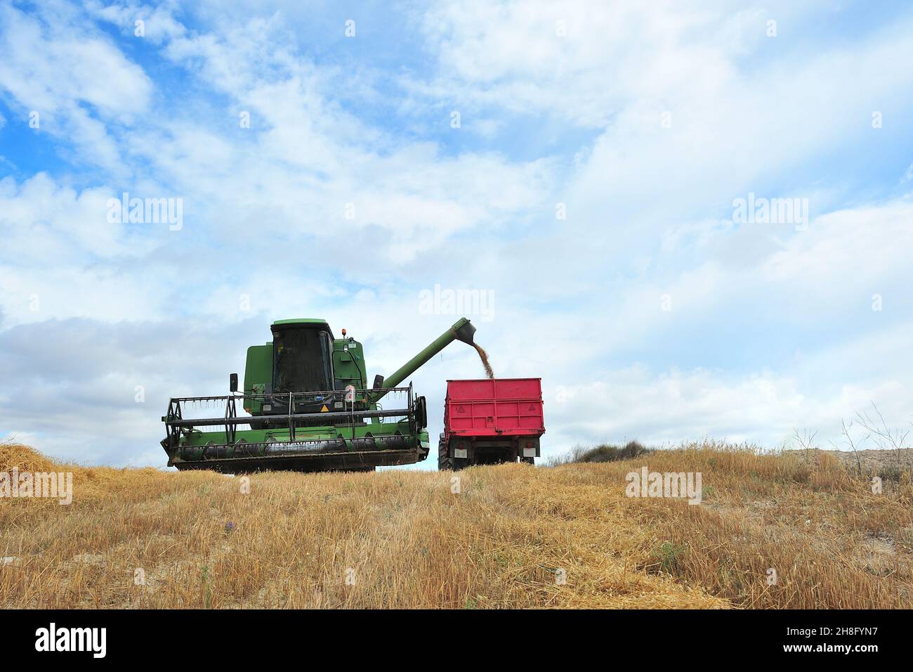 Photo of combine harvester that is harvesting wheat with dust straw in ...