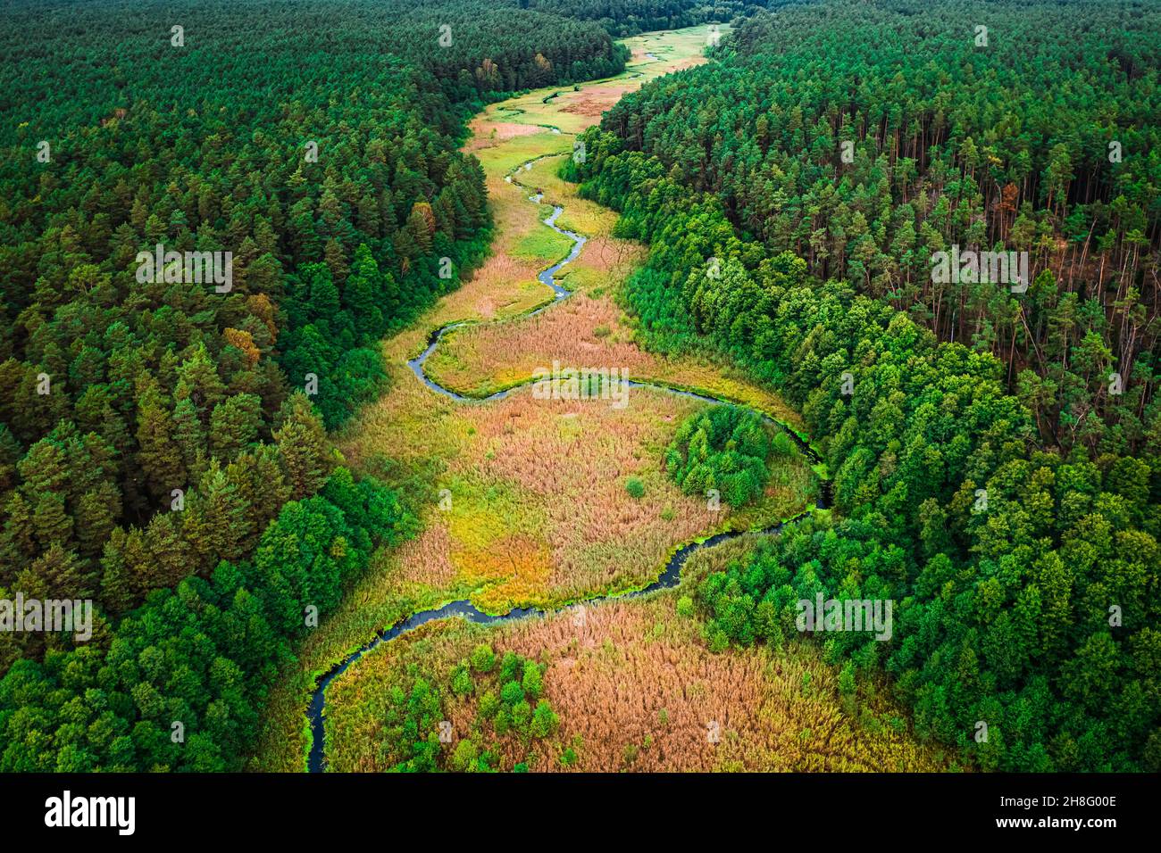 Aerial view of winding river in swamps. Wildlife in Poland, Europe ...