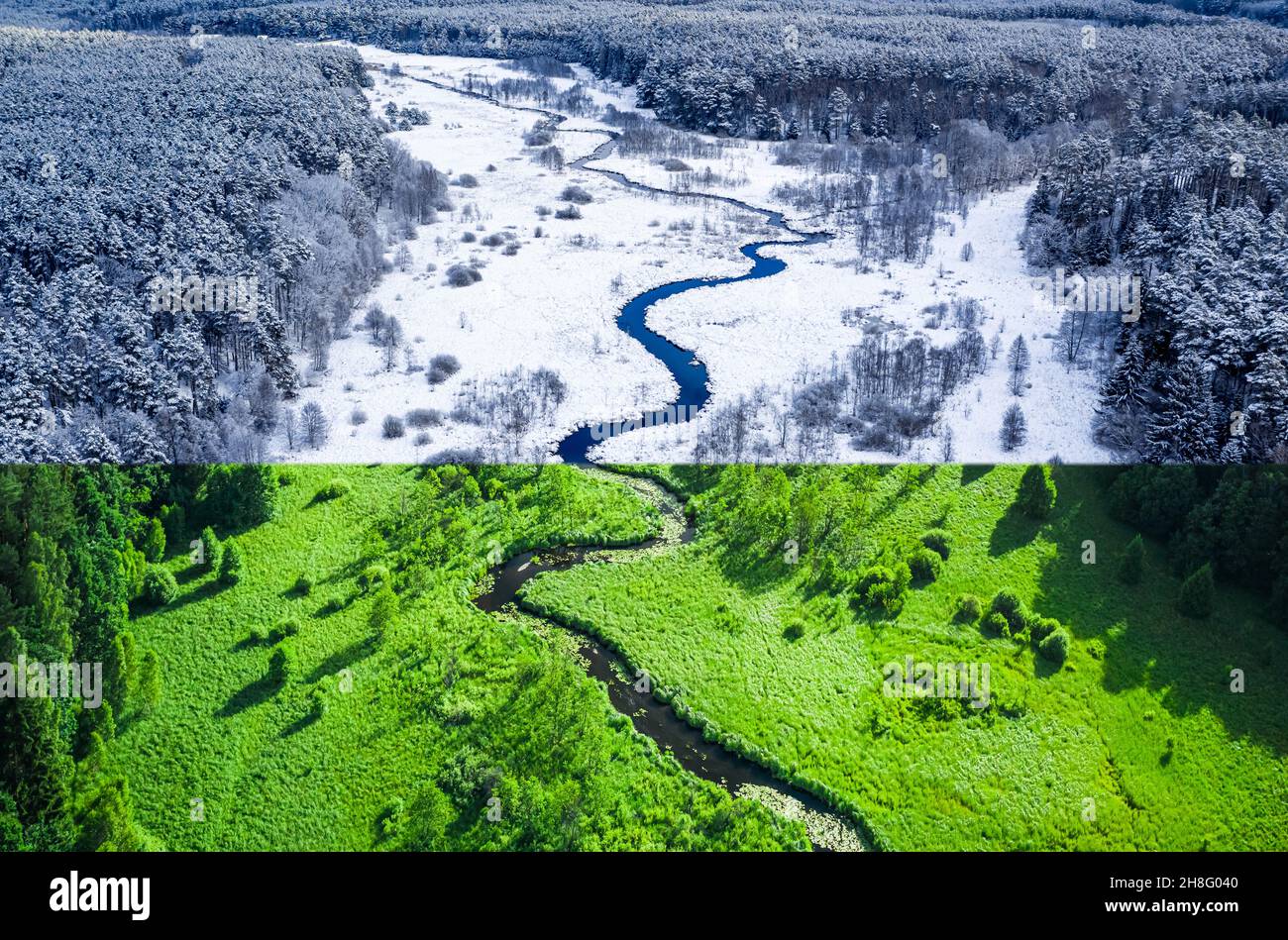 Spring and winter in one place. Spring is coming. Snowy and green ...