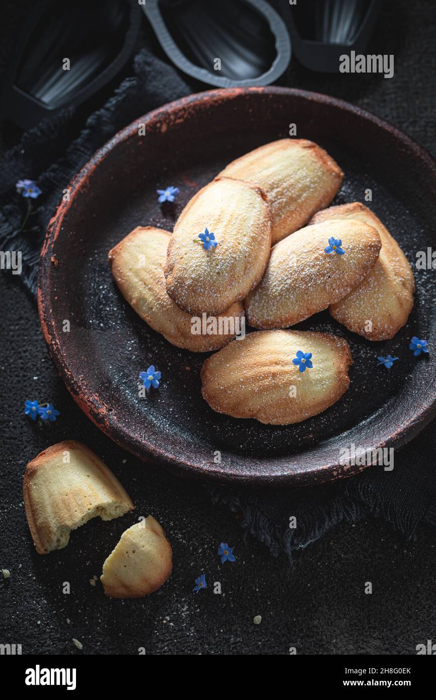 Classic madeleines hi-res stock photography and images - Alamy