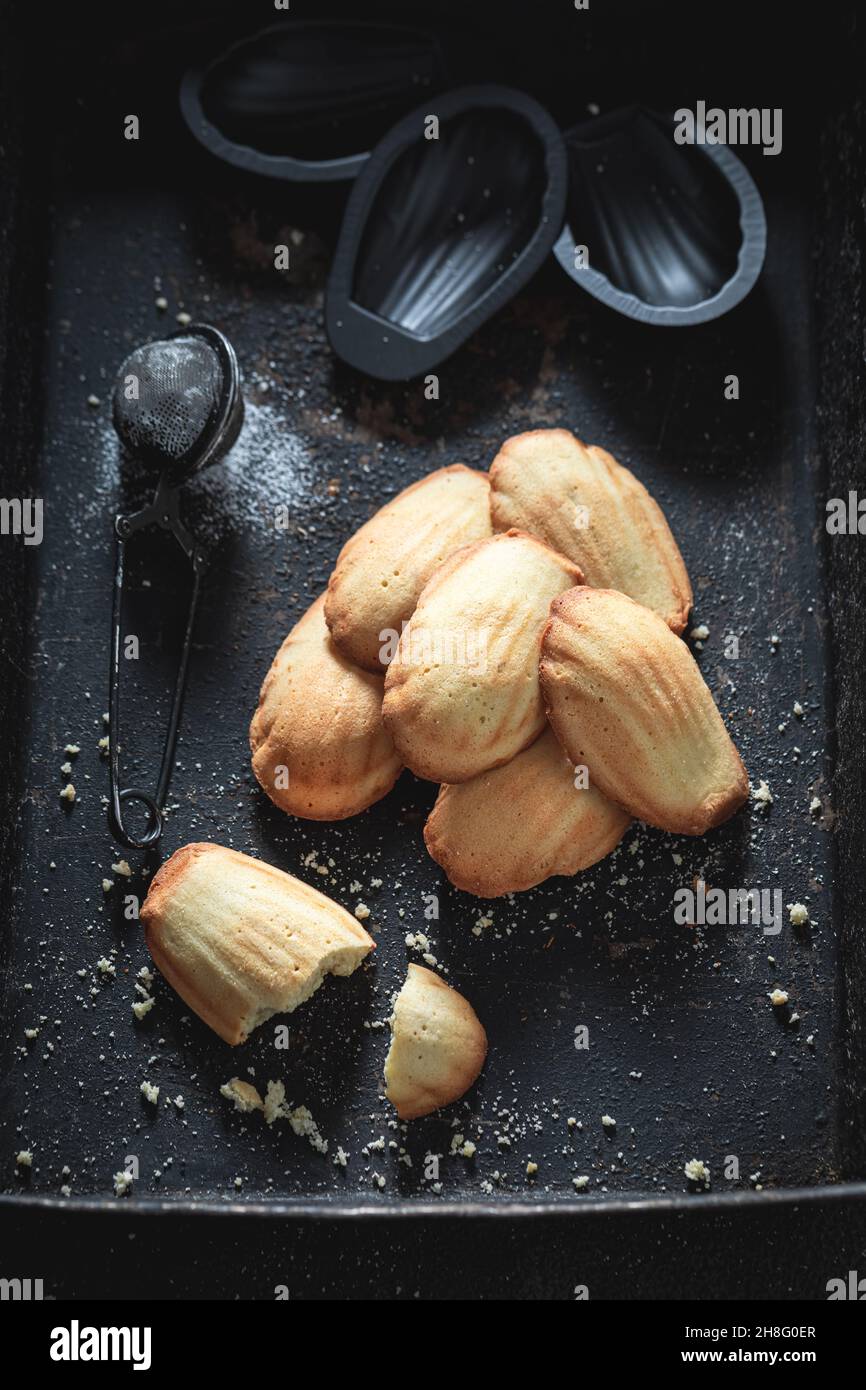 Madeleine cookies made from basic ingredients. Traditional French ...