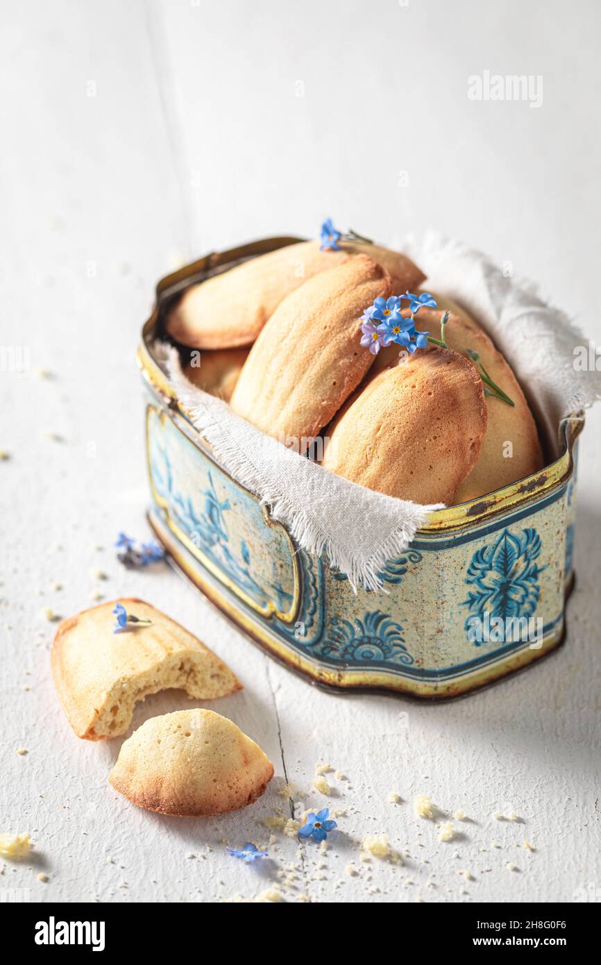 Homemade Madeleine cookies made from basic ingredients. Small french ...