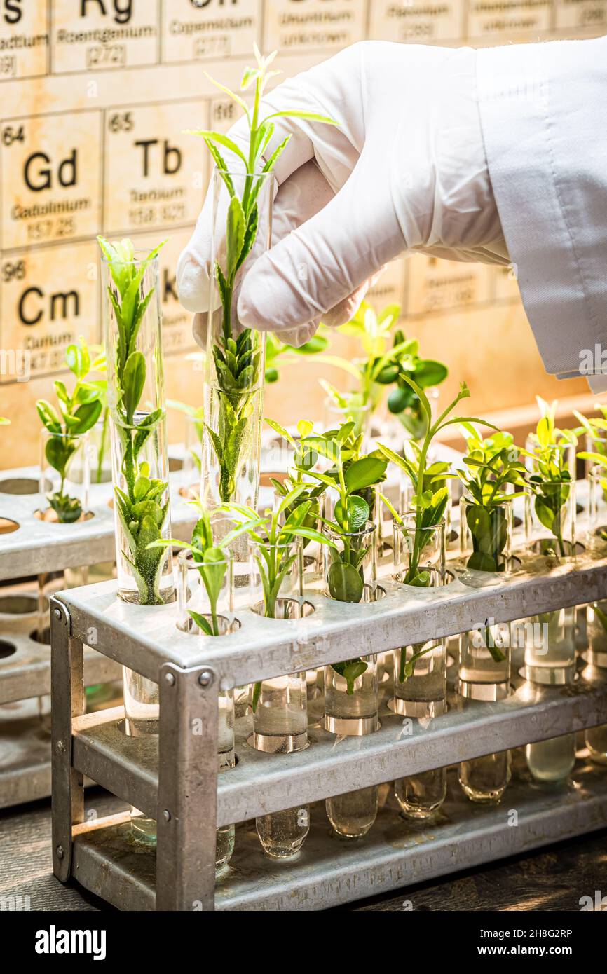 Growing classes hi-res stock photography and images - Alamy