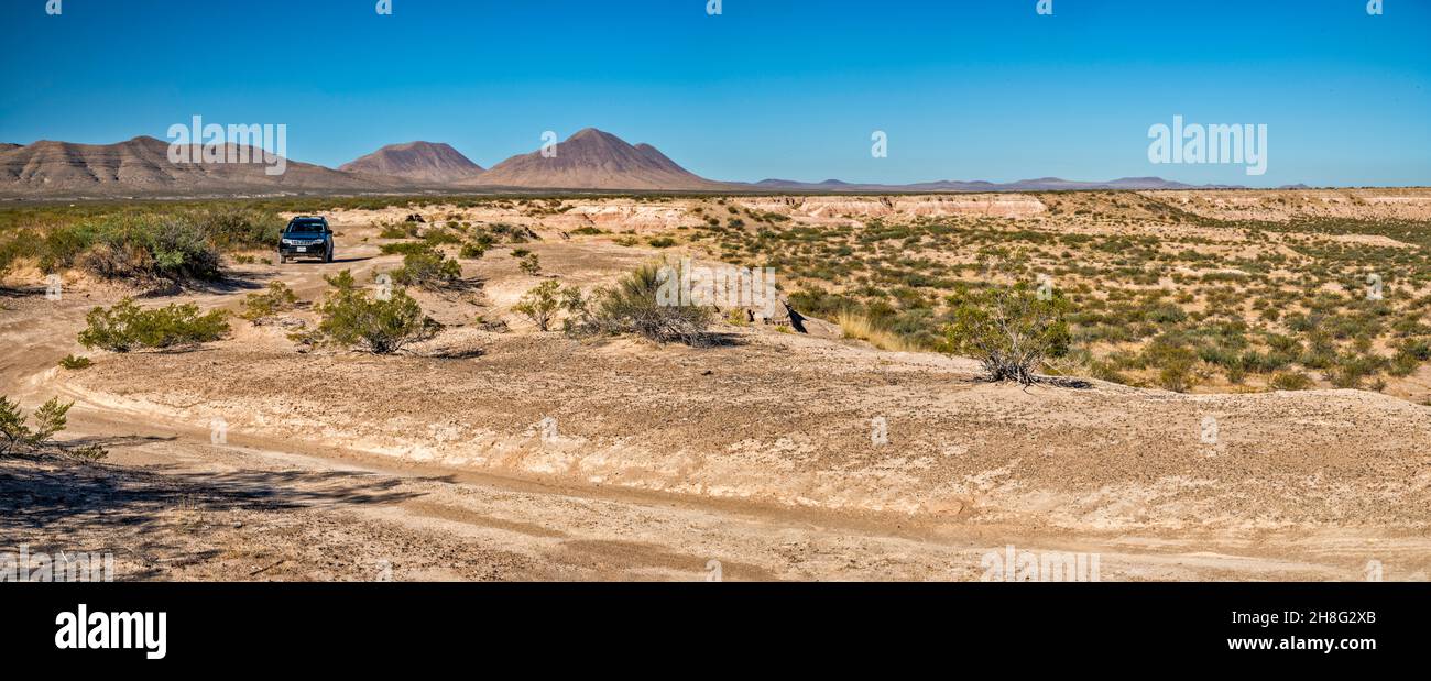 Car chihuahua new mexico hi-res stock photography and images - Alamy