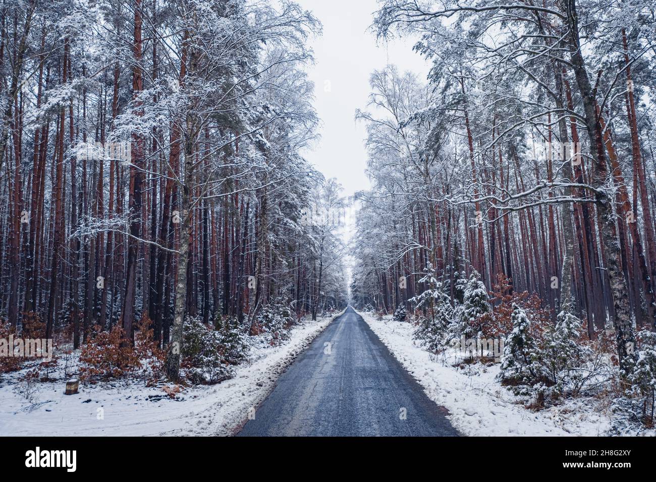 Black asphalt road in snowy winter. Transport in winter. Aerial view of ...