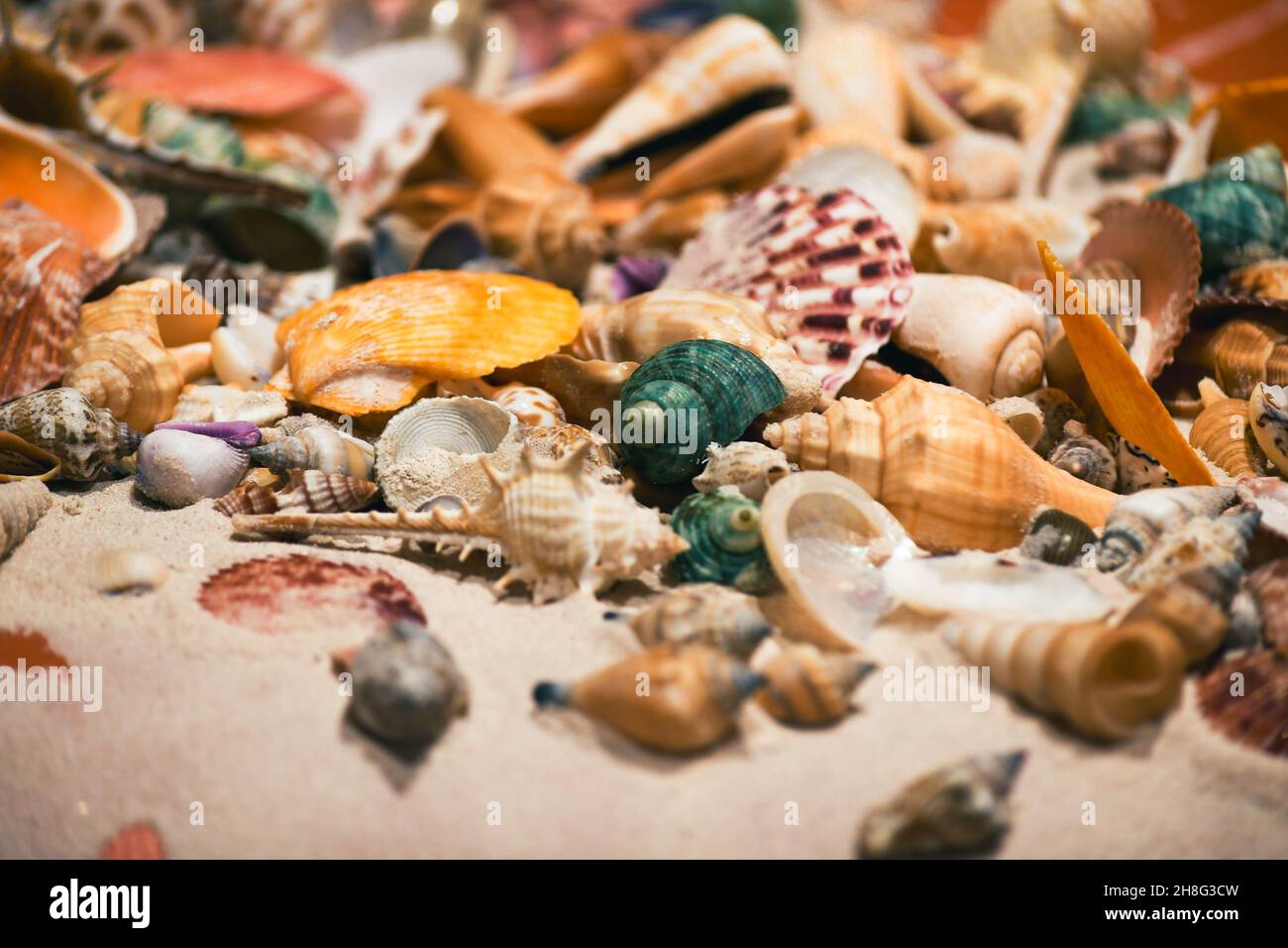 Life Between Islands opens on the 1st December 2021 at Tate Britain. It ...