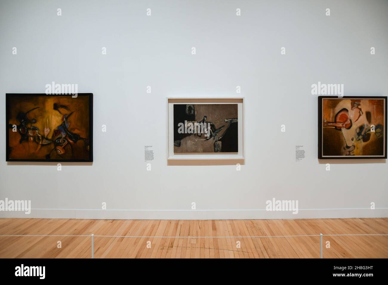 Life Between Islands opens on the 1st December 2021 at Tate Britain. It ...
