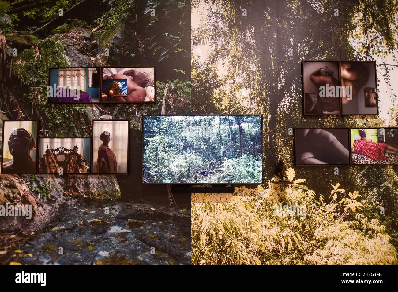 Life Between Islands opens on the 1st December 2021 at Tate Britain. It ...