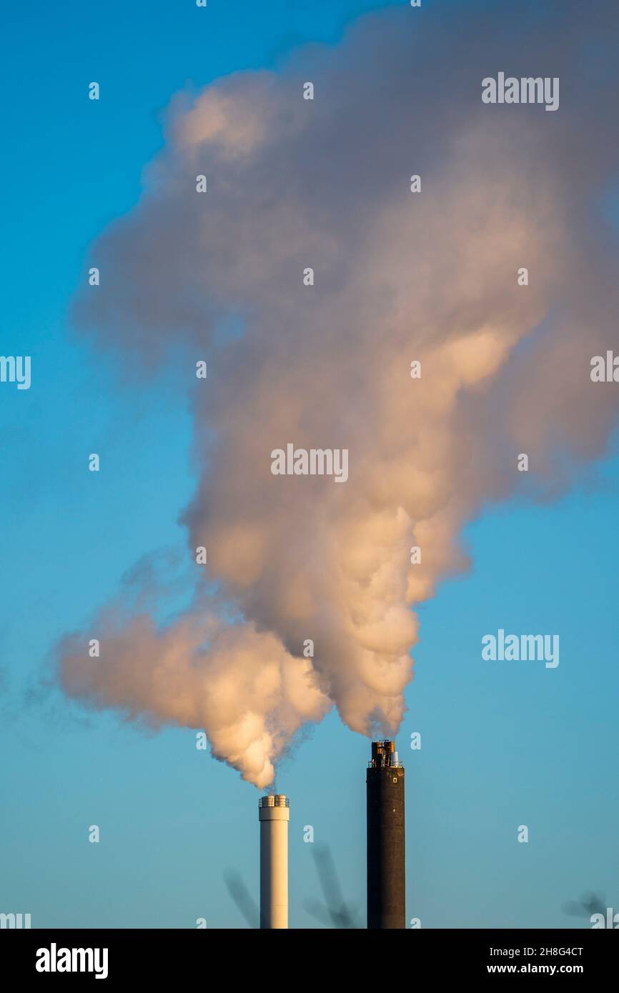 Hakon larsen hi-res stock photography and images - Alamy