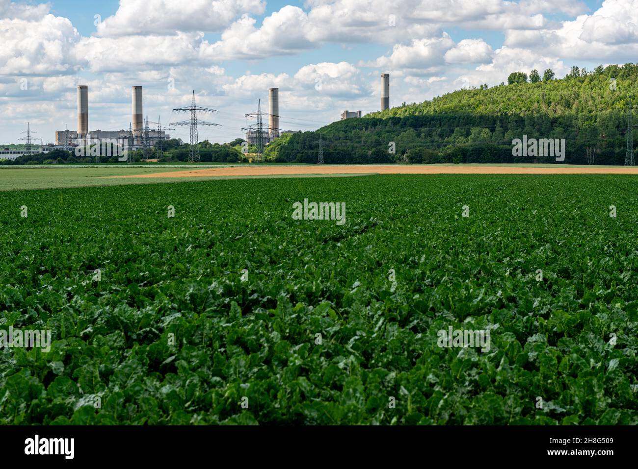 Grevenbroich-Neurath, Germany. The two brauncoal fuelled Kraftwerk ...