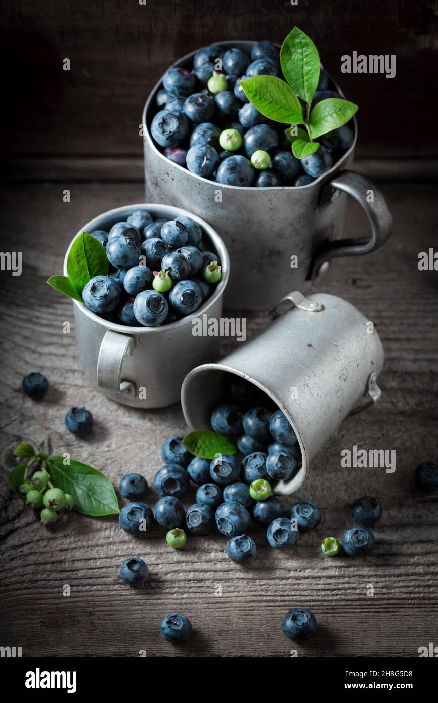 Sweet blueberries straight from garden. Fruits full of vitamins. Small ...
