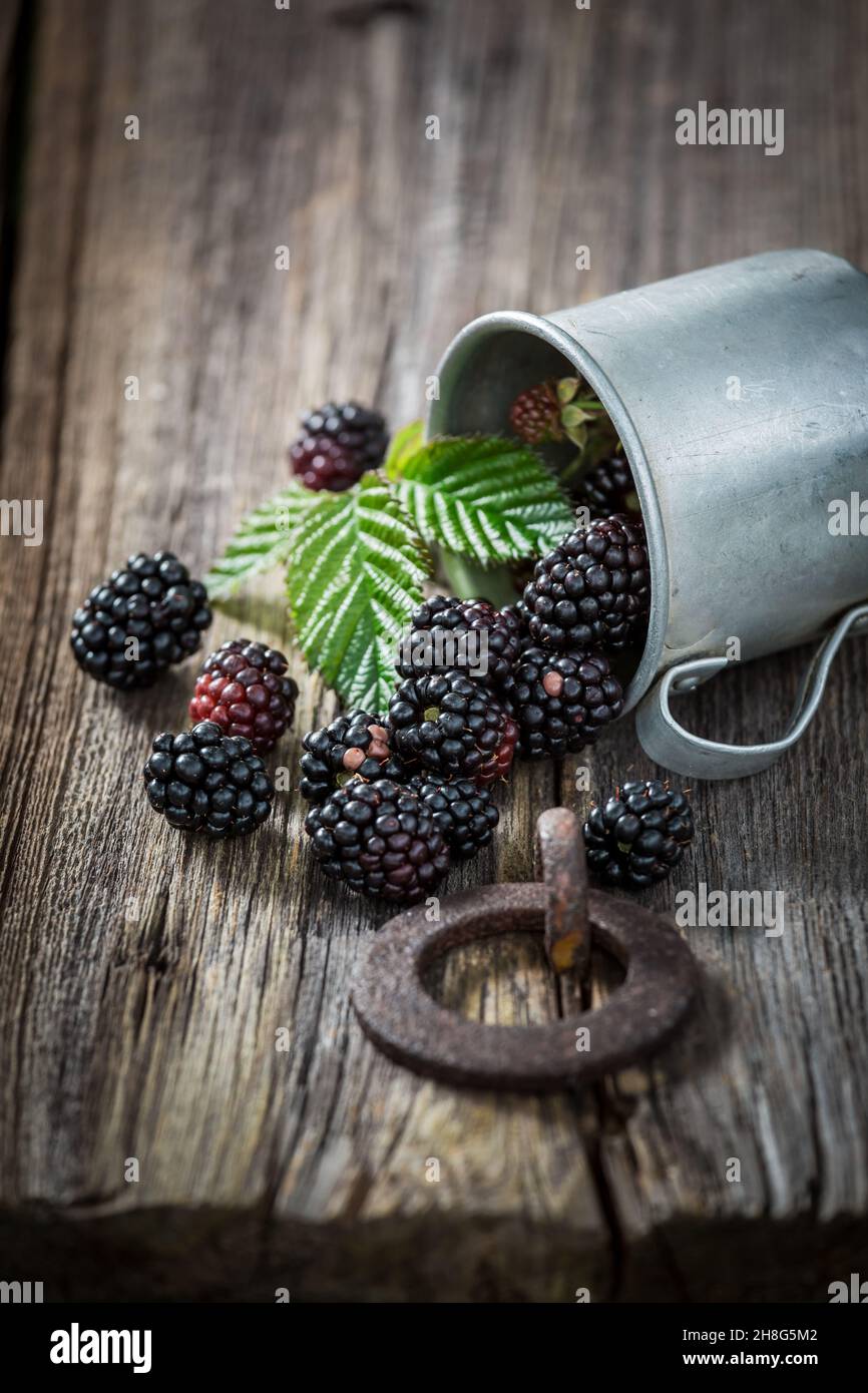Sweet blackberries straight from garden. Fruits full of vitamins. Small ...