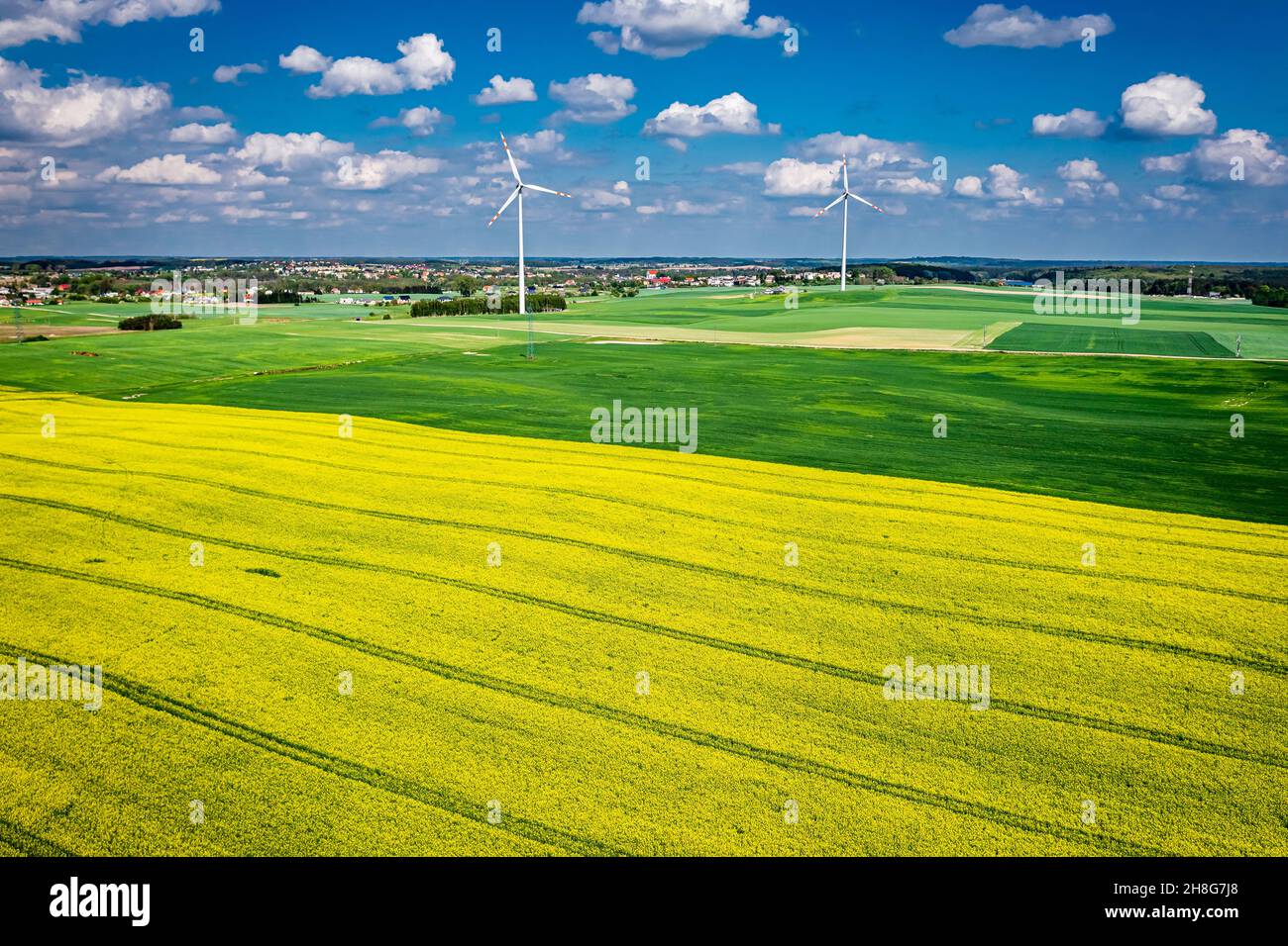 Stunning blooming raps flowers and wind turbine in countryside. Aerial ...