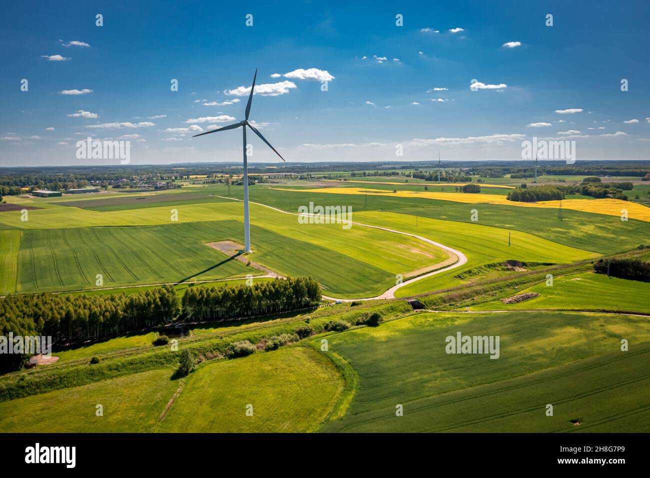 Stunning wind turbine and field of rapeseed in countryside. Aerial view ...