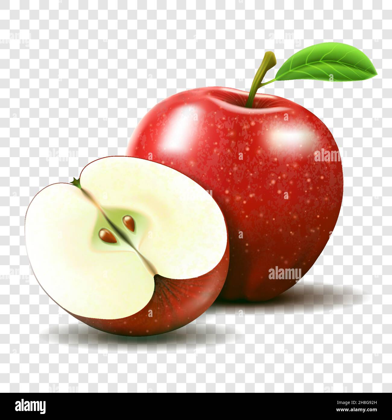 Red apple and half of apple isolated. fruits vector illustration ...