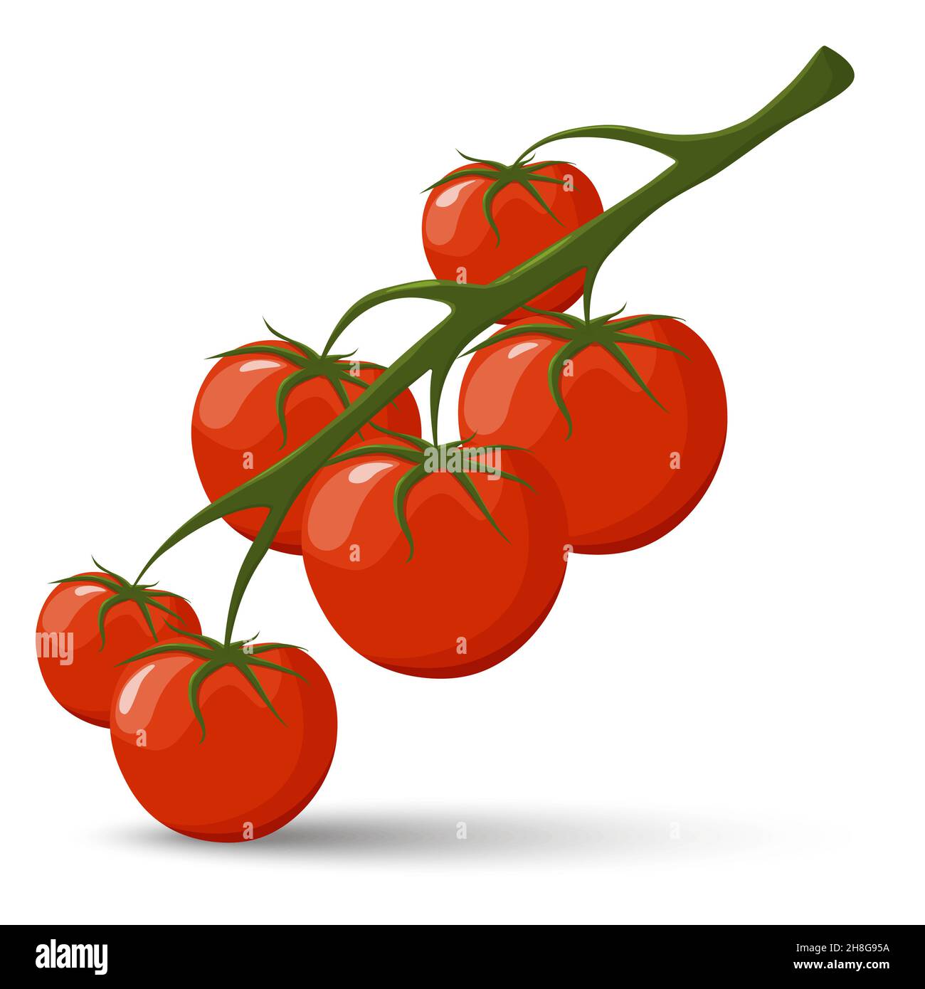 Branch green tomatoes Stock Vector Images - Alamy