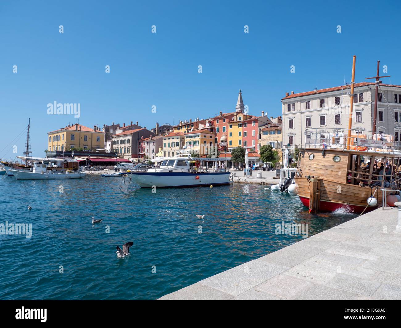 Rovinj city view marina hi-res stock photography and images - Alamy
