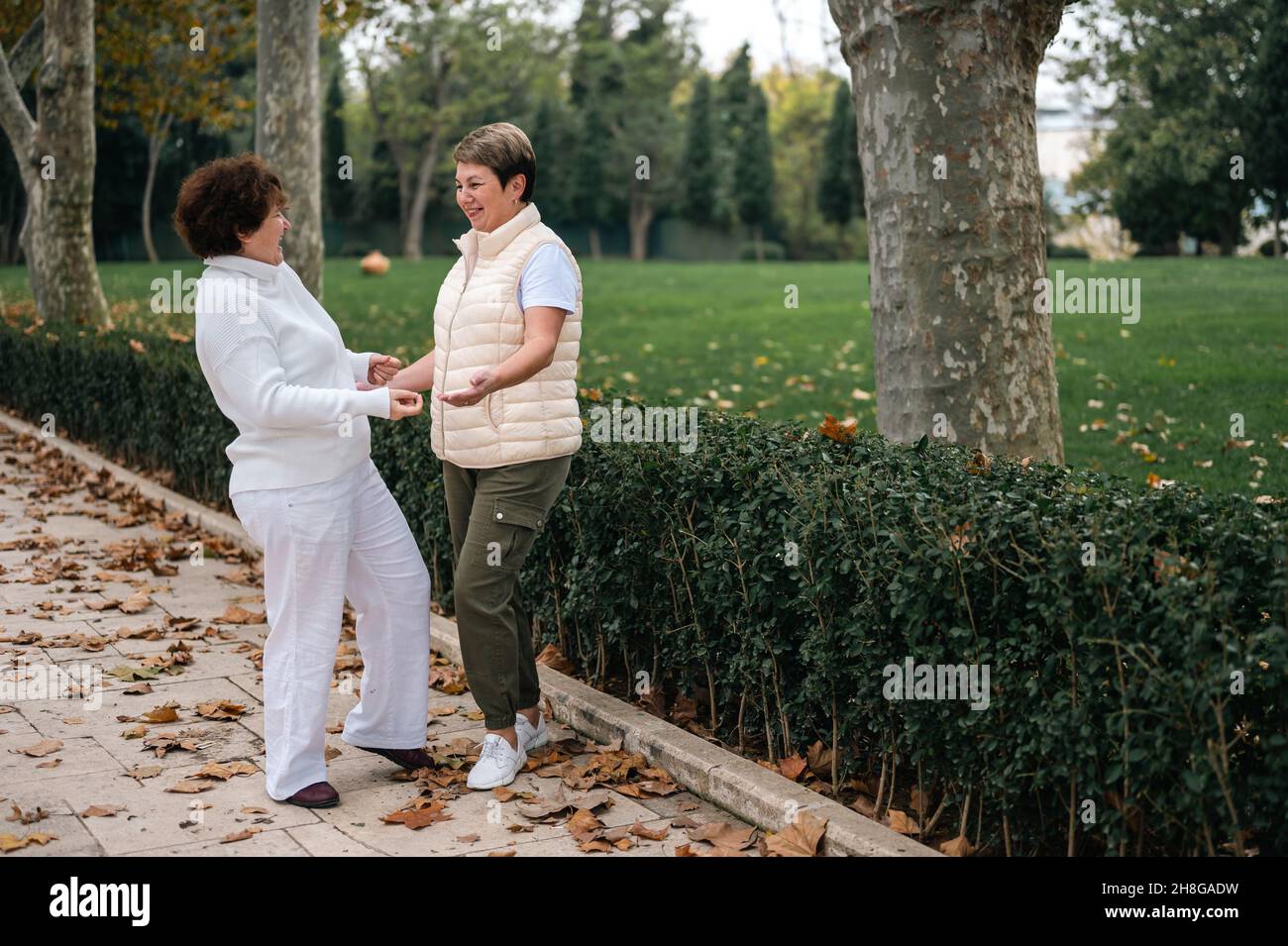 elderly friends are happy to meet and happily talk. Cheerful Old Women ...