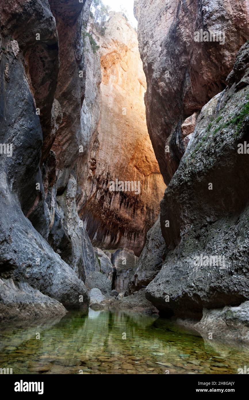 The end of the Parrisal way is named The Gubies in Parrisal Canyon ...