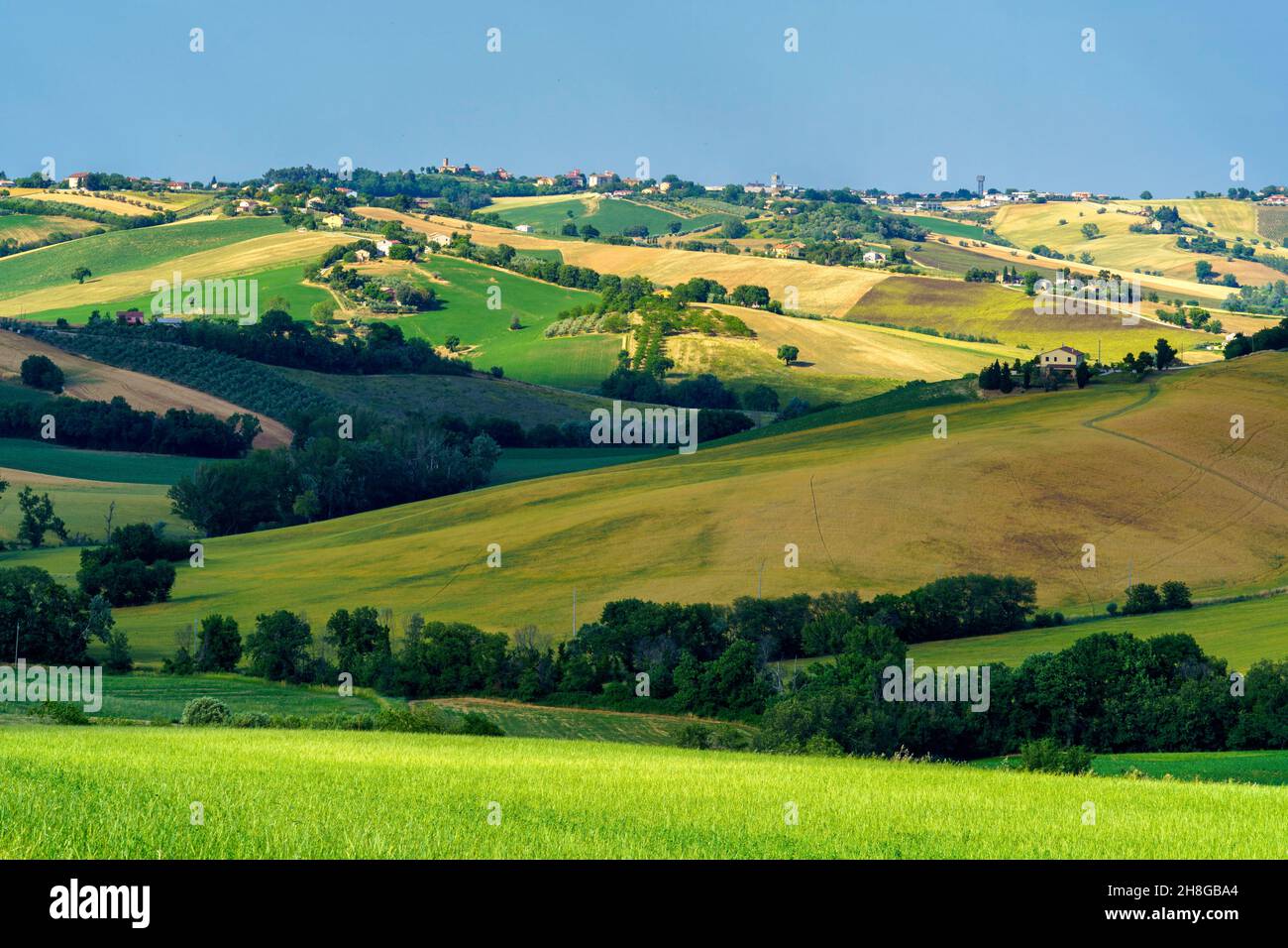 Country landscape along the road from Ostra Vetere to Cingoli, Ancona ...