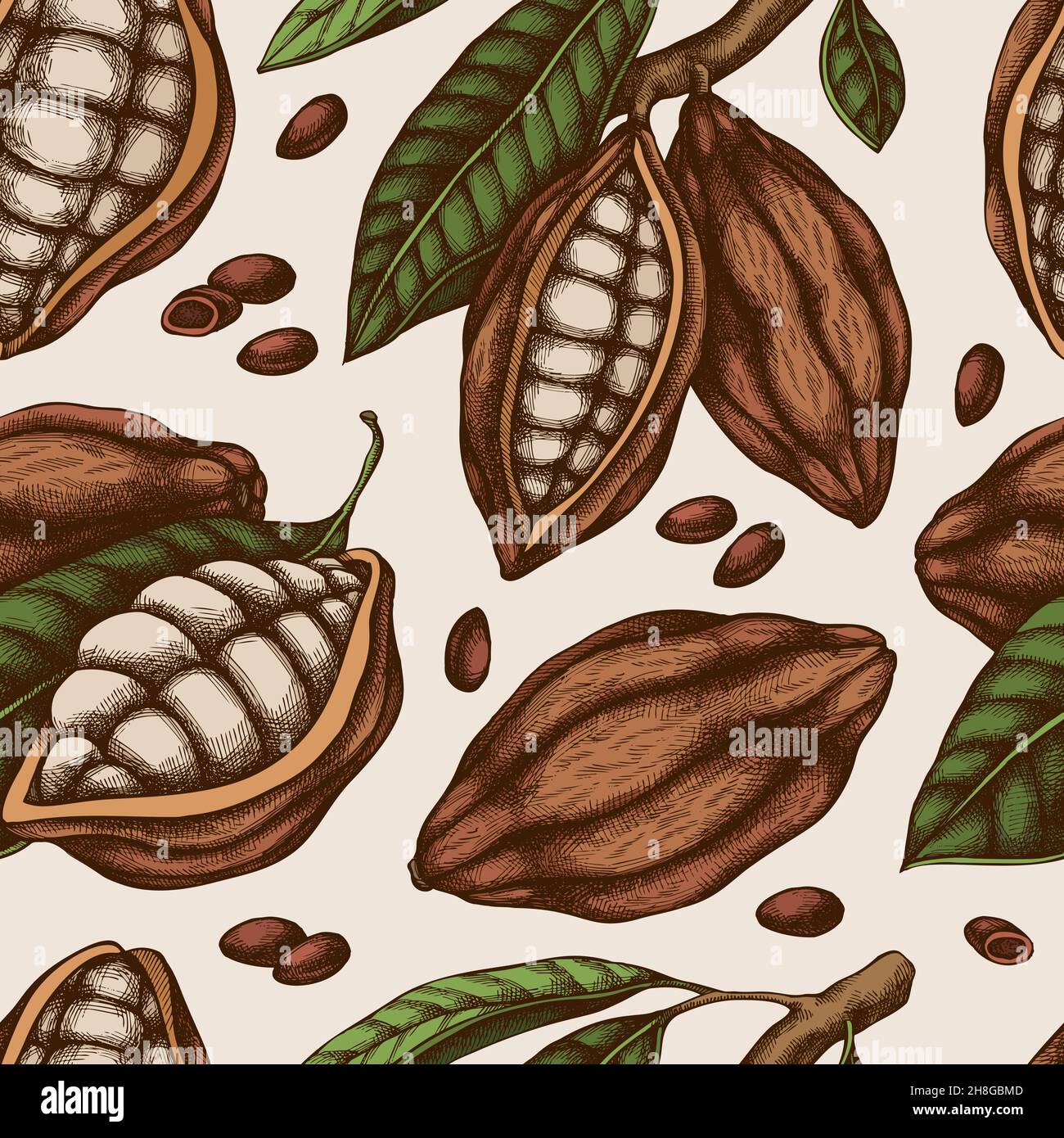 Open cocoa pod Stock Vector Images - Alamy