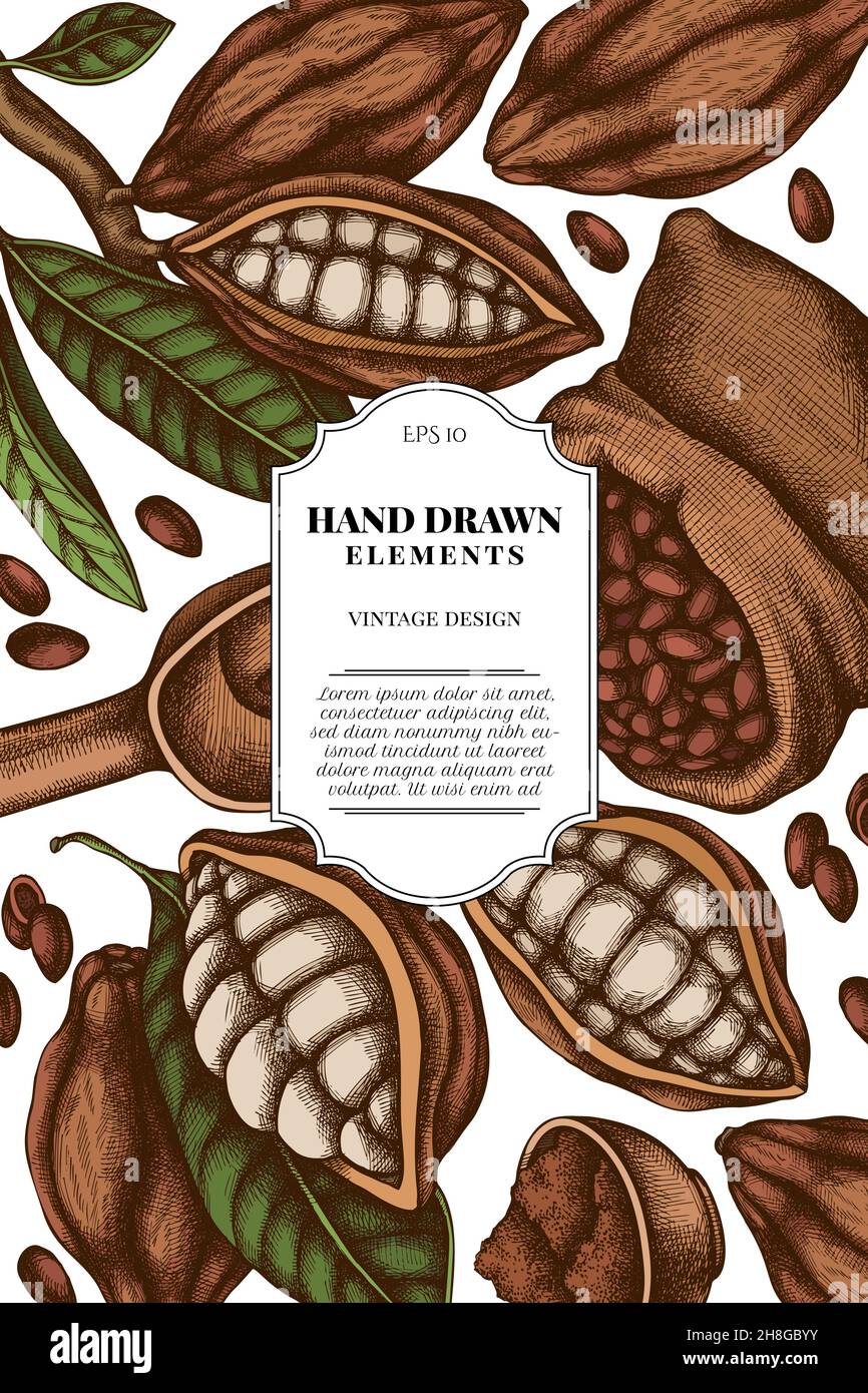 Card design with colored cocoa beans, cocoa Stock Vector Image & Art ...