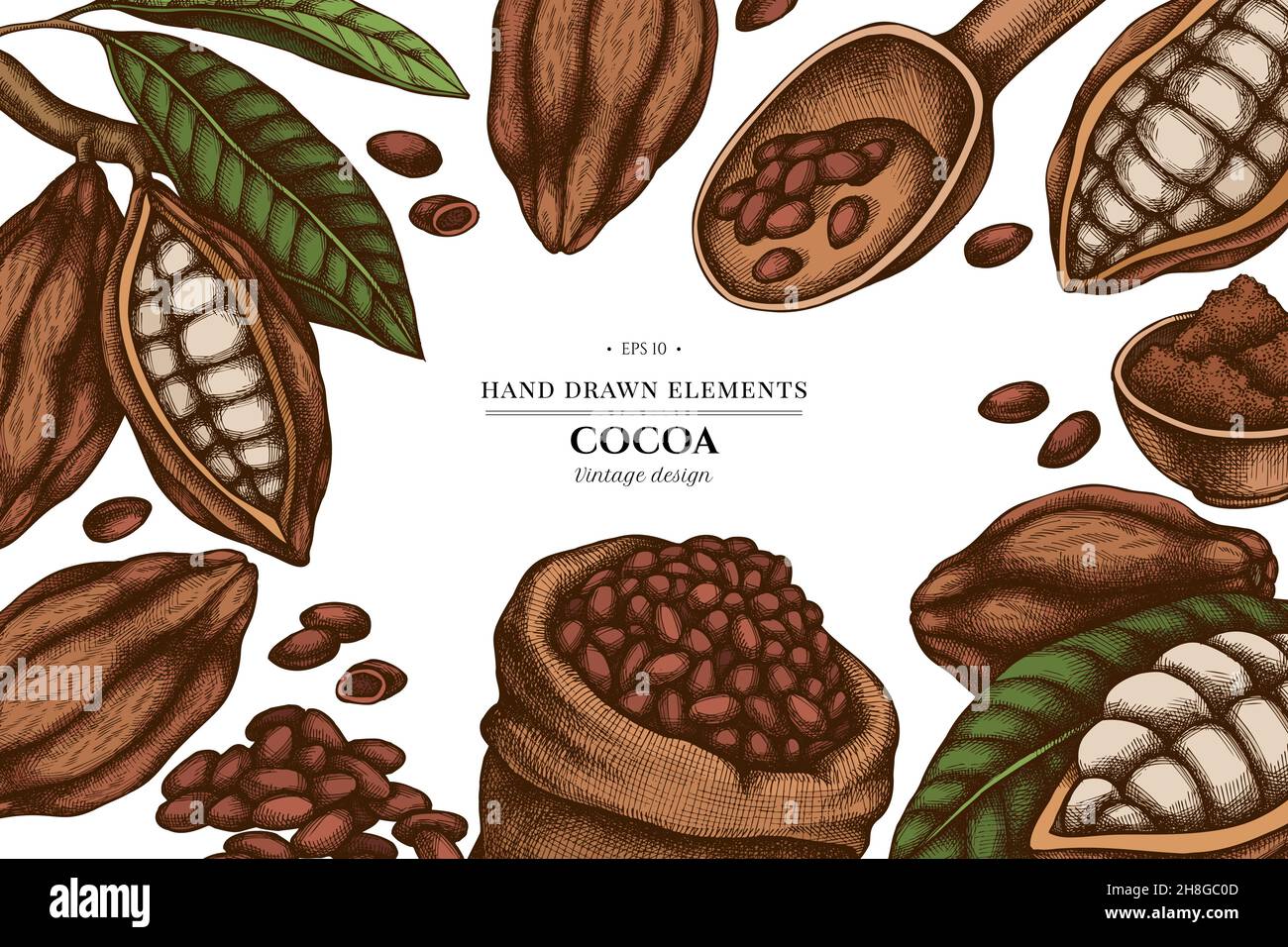 Colored elements design with cocoa beans, cocoa Stock Vector Image ...