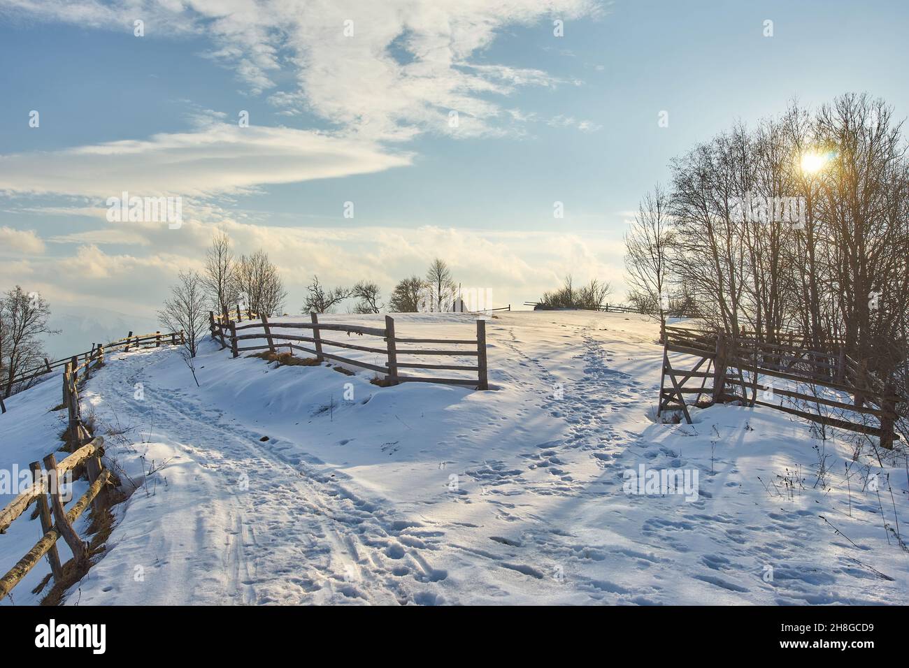 Beautiful winter landscape with snow covered trees Stock Photo - Alamy