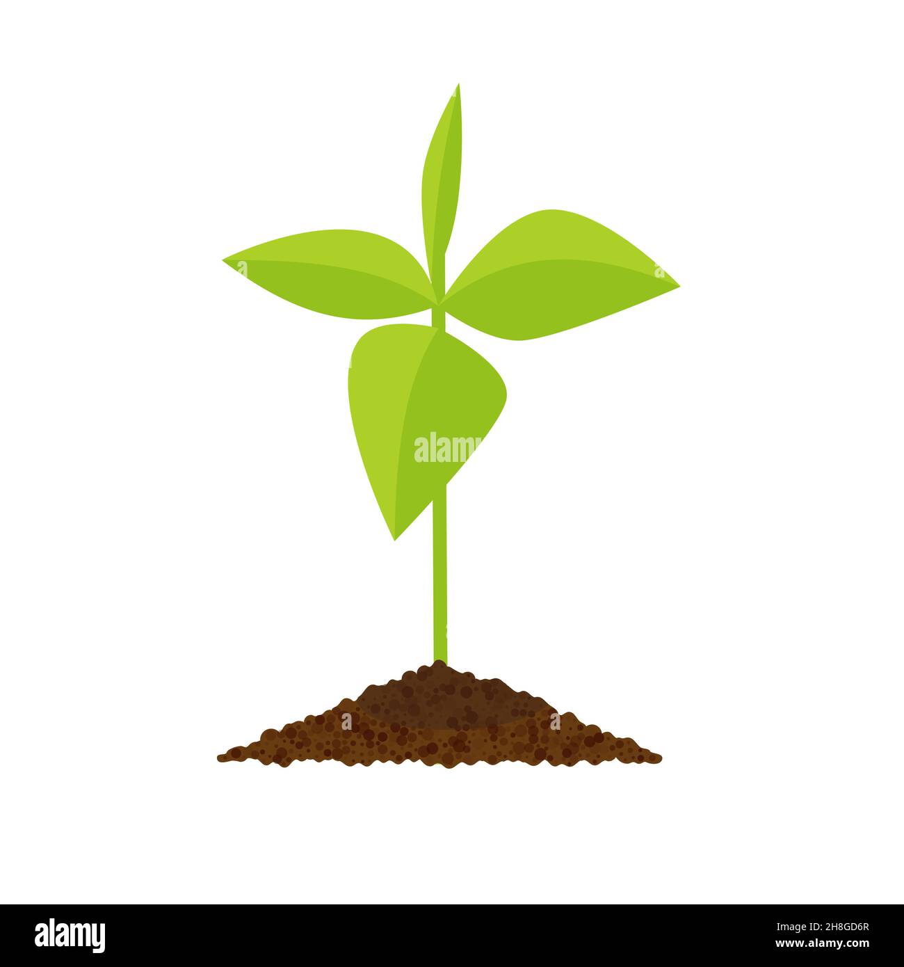 Sprout botanical vector illustration, isolated on a white background ...