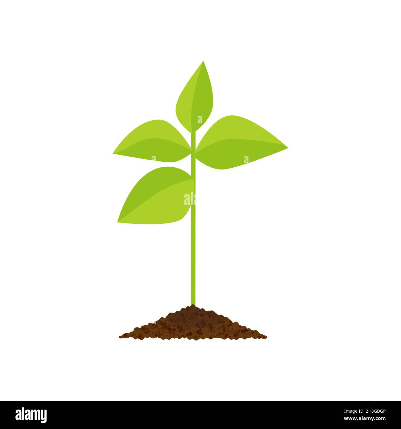 Sprout botanical vector illustration, isolated on a white background ...