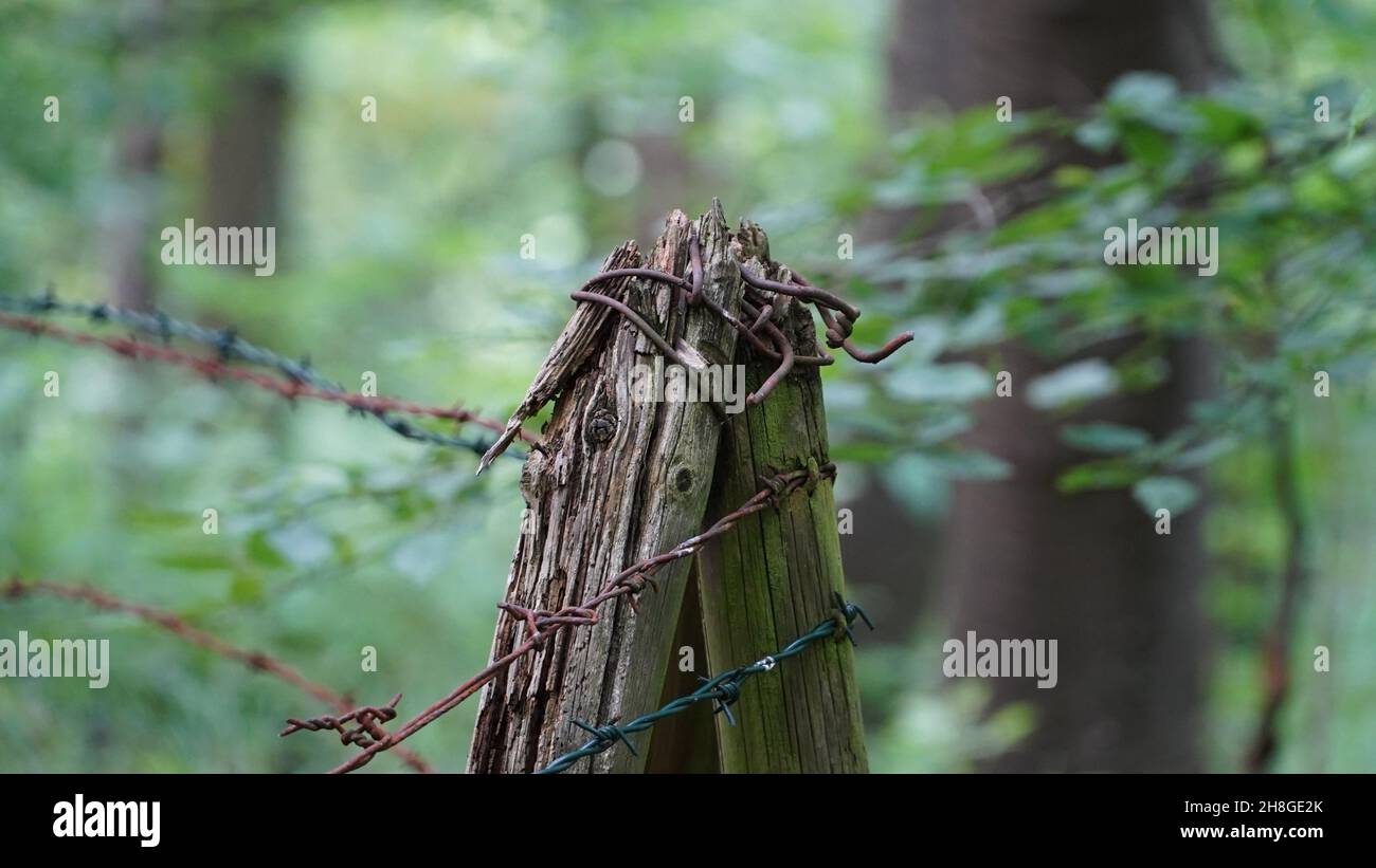 Unkel Germany June 2021 Close-up of an old rusty barbed wire fence in ...