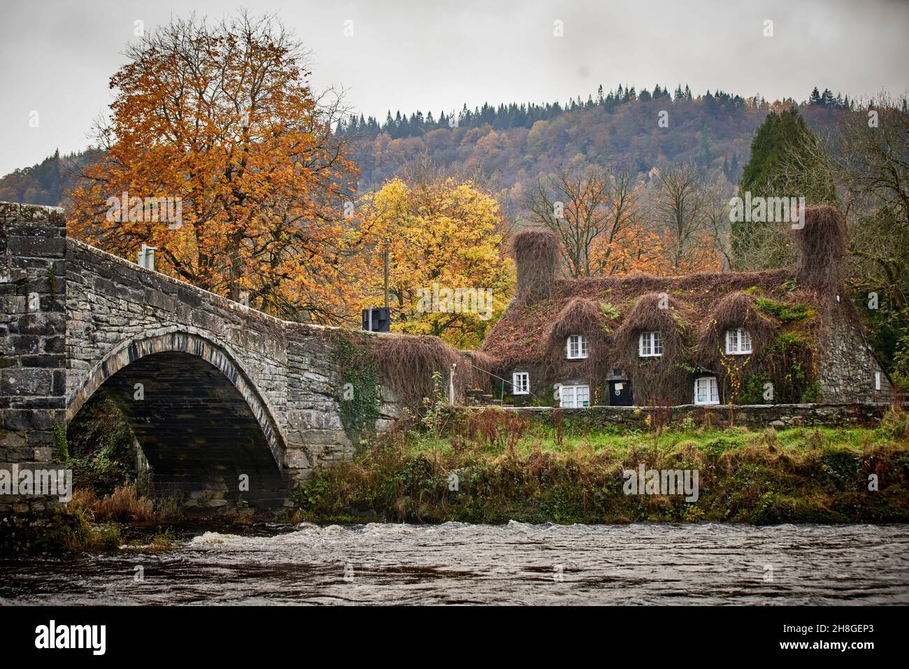 Ty hwnt ir bont hi-res stock photography and images - Alamy