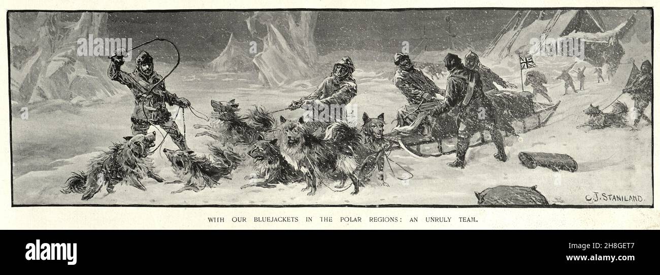 British Royal Navy, Explorers in polar regions, with unruly dog team ...