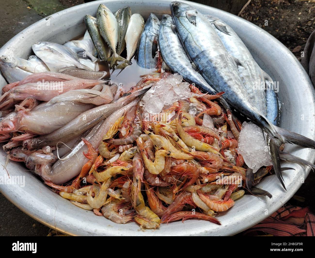 A closeup fresh fish, seafood background food Stock Photo - Alamy