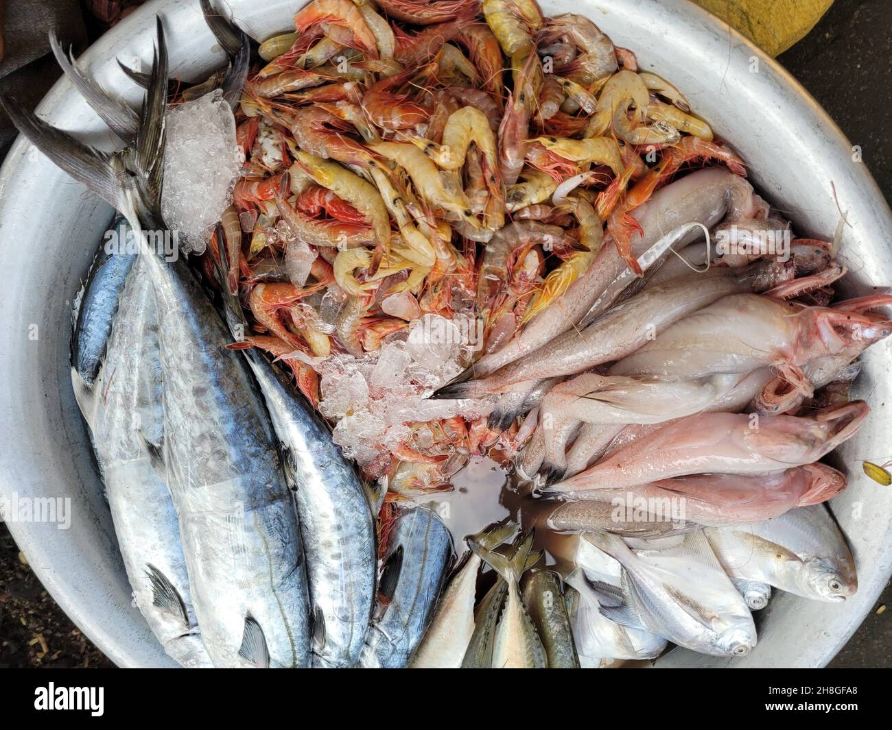A closeup fresh fish, seafood background food Stock Photo - Alamy