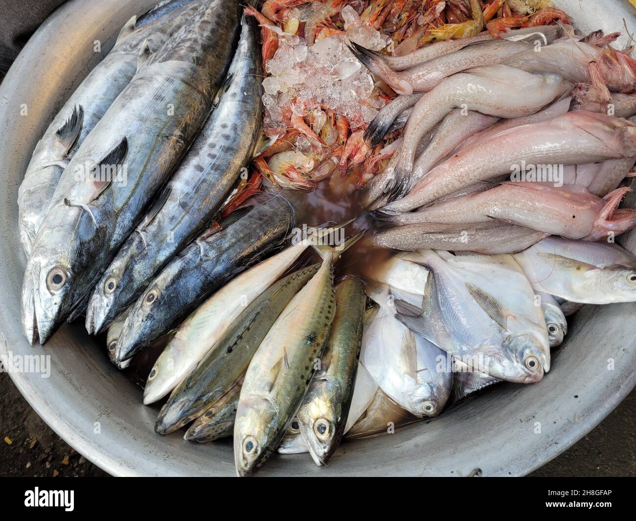 A closeup fresh fish, seafood background food Stock Photo - Alamy